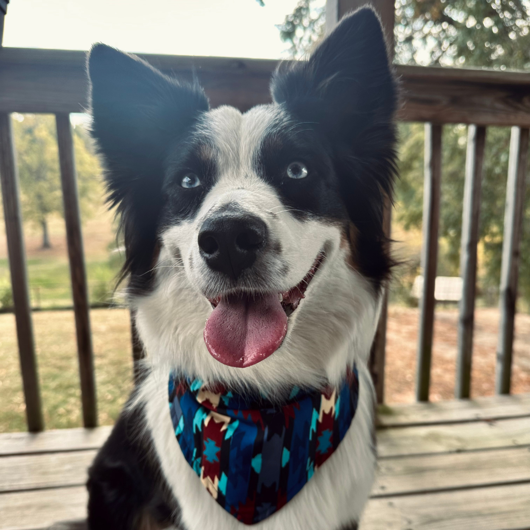 Rocket Doggie Bandana Teal Southwestern | Rocket Donkey